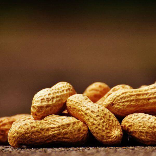 Virginia Peanuts | Gourmet Jumbo VA Peanuts | Virginia Peanut Company